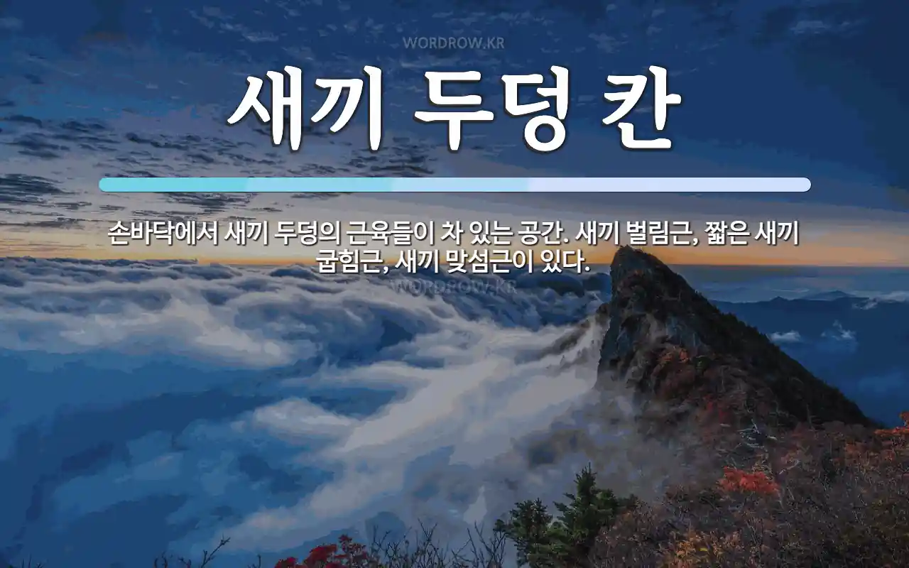 새끼 두덩 칸 뜻 손바닥에서 새끼 두덩의 근육들이 차 있는 공간 새끼 벌림근 짧은 새끼 굽힘근 새끼 맞