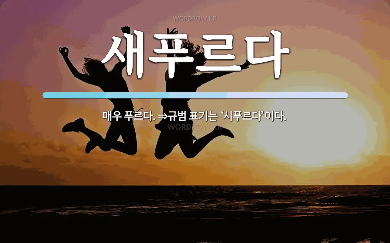 새푸르다 뜻 매우 푸르다 ⇒규범 표기는 ‘시푸르다이다