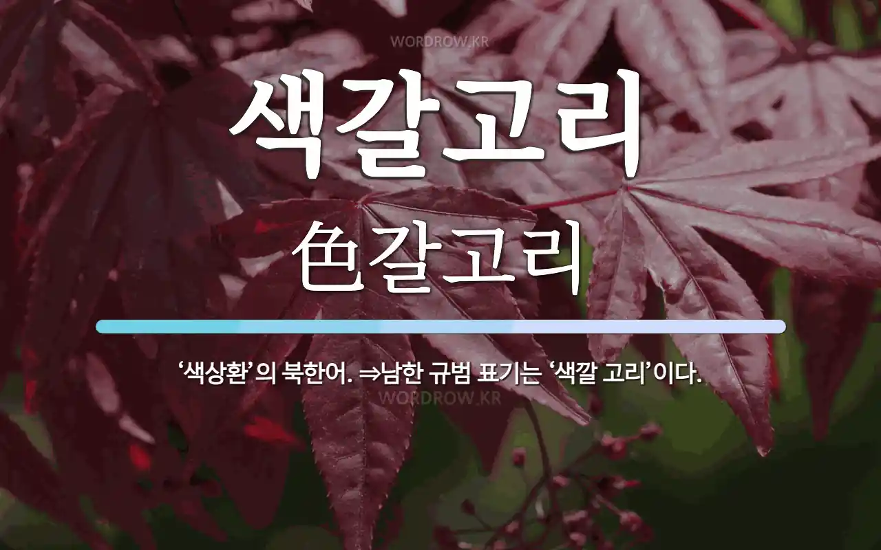 색갈고리 뜻 ‘색상환의 북한어 ⇒남한 규범 표기는 ‘색깔 고리이다