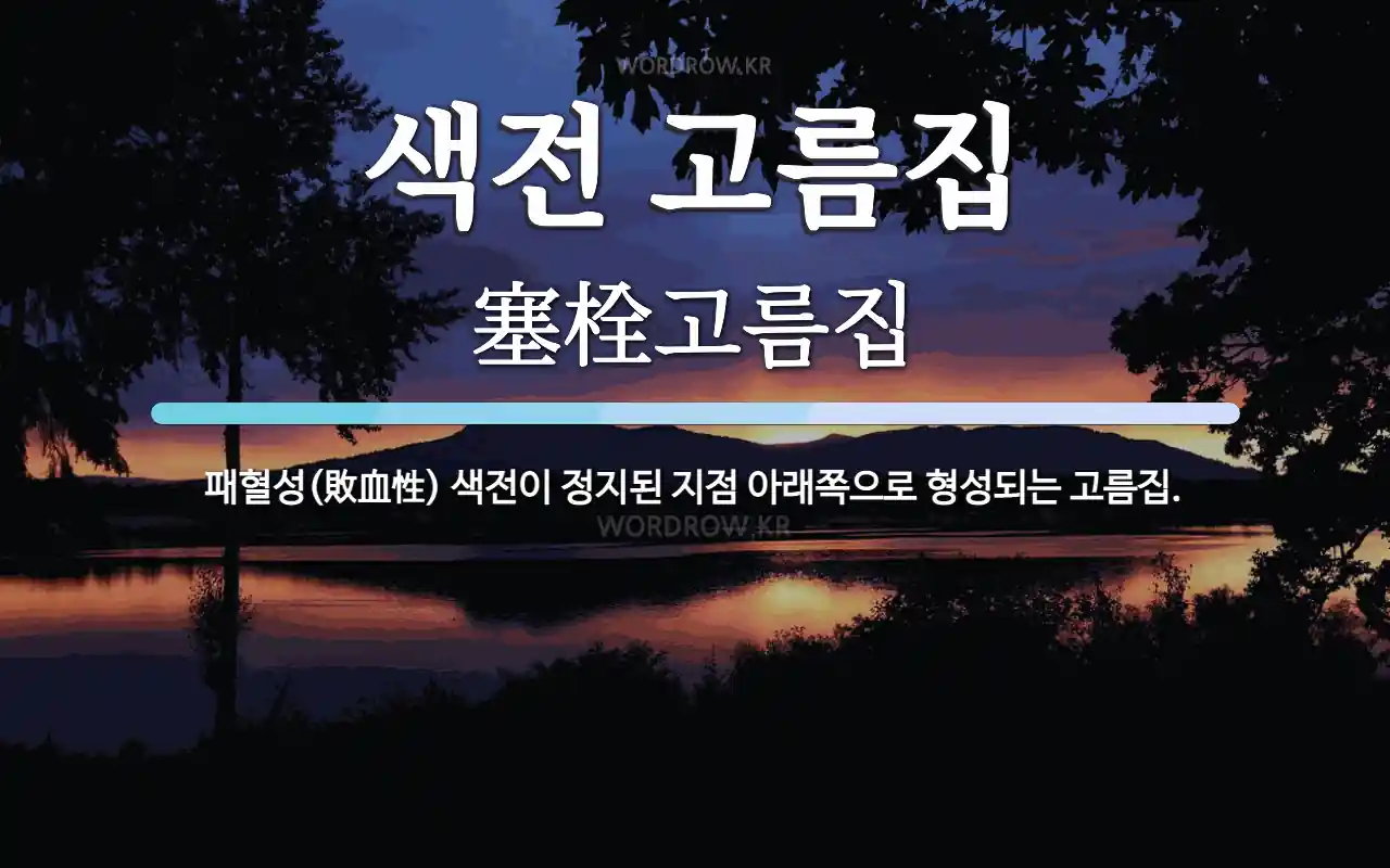 색전 고름집 뜻 패혈성敗血性 색전이 정지된 지점 아래쪽으로 형성되는 고름집