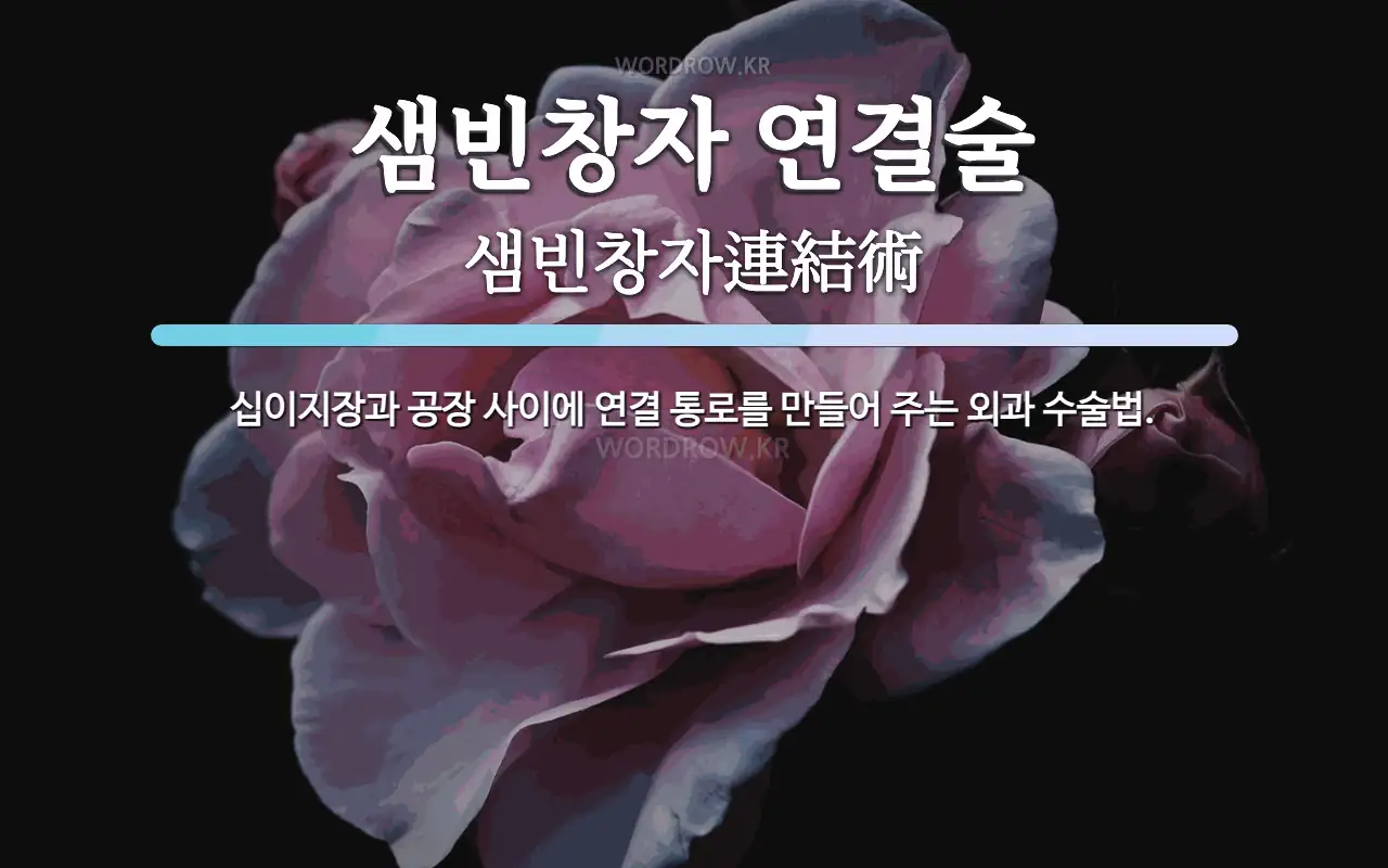 샘빈창자 연결술 뜻 십이지장과 공장 사이에 연결 통로를 만들어 주는 외과 수술법