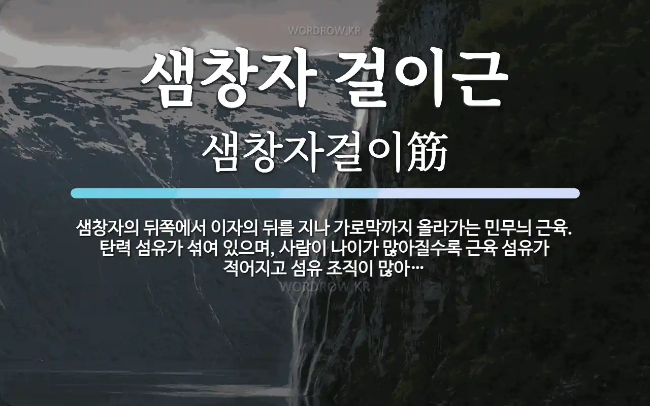 샘창자 걸이근 뜻 샘창자의 뒤쪽에서 이자의 뒤를 지나 가로막까지 올라가는 민무늬 근육 탄력 섬유가 섞여 있