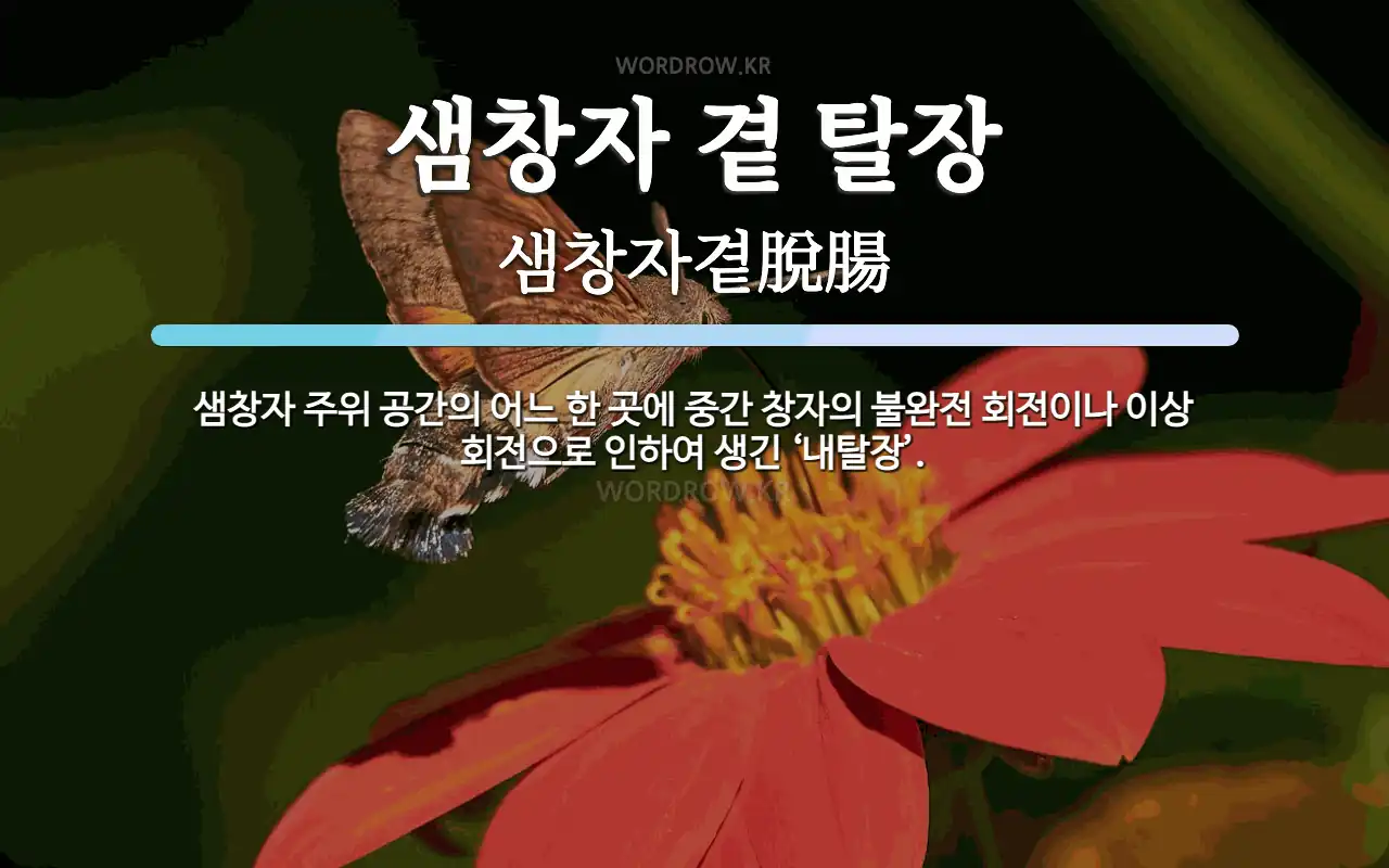 샘창자 곁 탈장 뜻 샘창자 주위 공간의 어느 한 곳에 중간 창자의 불완전 회전이나 이상 회전으로 인하여 생긴