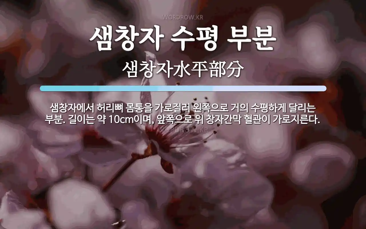 샘창자 수평 부분 뜻 샘창자에서 허리뼈 몸통을 가로질러 왼쪽으로 거의 수평하게 달리는 부분 길이는 약 10cm