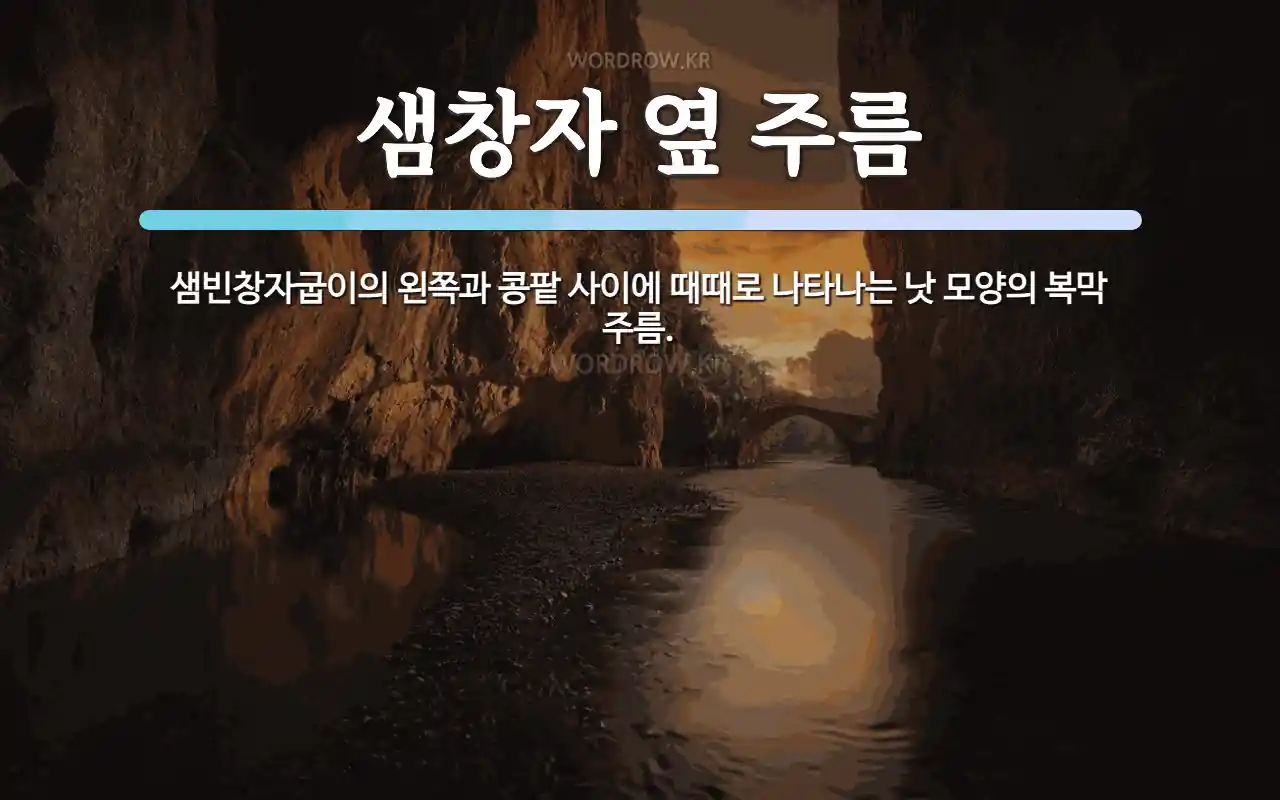 샘창자 옆 주름 뜻 샘빈창자굽이의 왼쪽과 콩팥 사이에 때때로 나타나는 낫 모양의 복막 주름