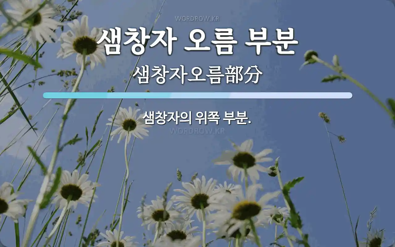 샘창자 오름 부분 뜻 샘창자의 위쪽 부분