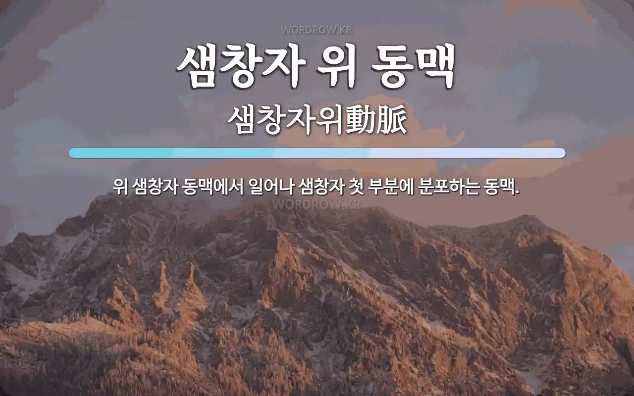 샘창자 위 동맥 뜻 위 샘창자 동맥에서 일어나 샘창자 첫 부분에 분포하는 동맥