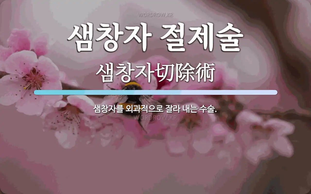샘창자 절제술 뜻 샘창자를 외과적으로 잘라 내는 수술
