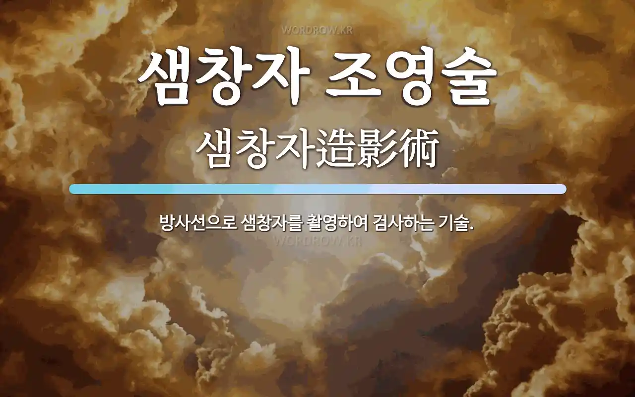 샘창자 조영술 뜻 방사선으로 샘창자를 촬영하여 검사하는 기술