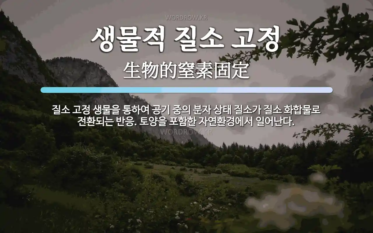 생물적 질소 고정 뜻 질소 고정 생물을 통하여 공기 중의 분자 상태 질소가 질소 화합물로 전환되는 반응 토양을