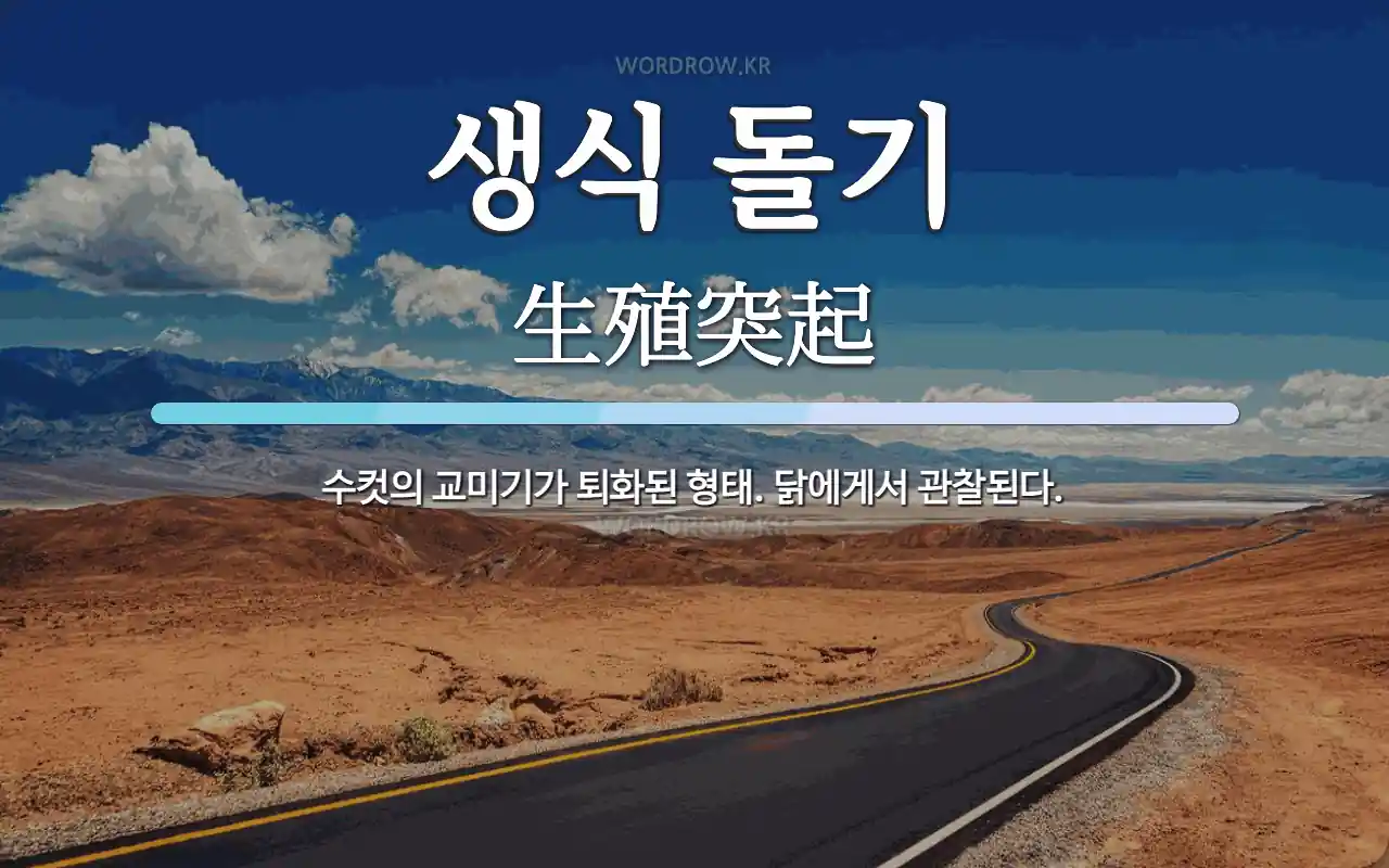 생식 돌기 뜻 수컷의 교미기가 퇴화된 형태 닭에게서 관찰된다
