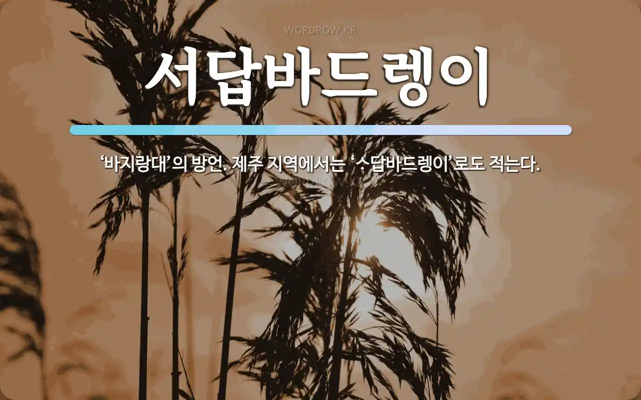서답바드렝이 뜻 ‘바지랑대의 방언 제주 지역에서는 ‘ue97d답바드렝이로도 적는다