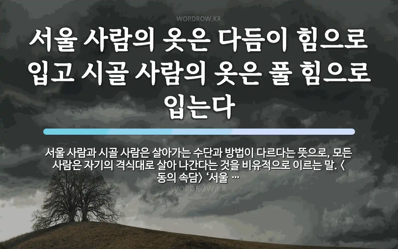 서울 사람의 옷은 다듬이 힘으로 입고 시골 사람의 옷은 풀 힘으로 입는다 뜻 서울 사람과 시골 사람은 살아가는 수단과 방법이