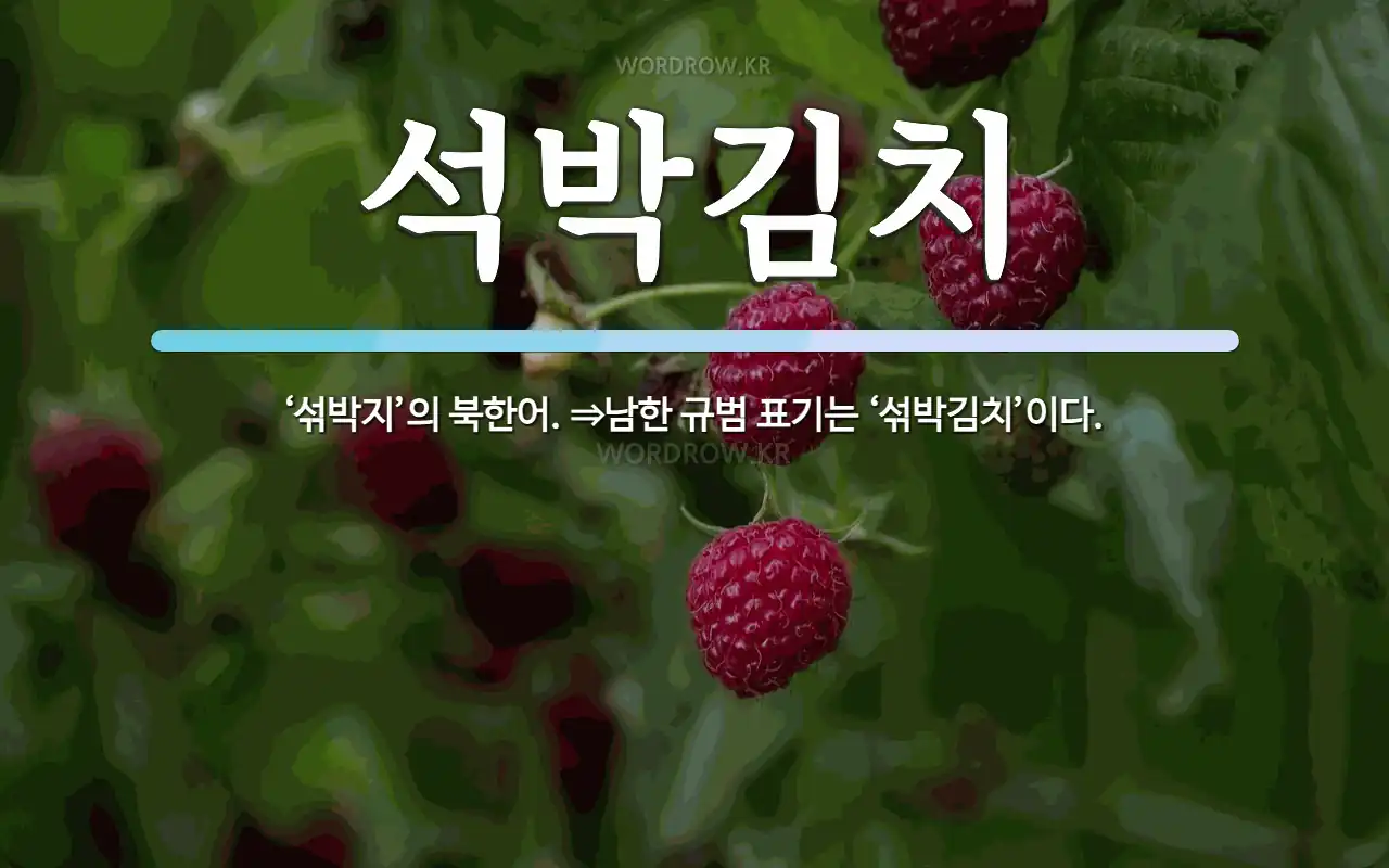 석박김치 뜻 ‘섞박지의 북한어 ⇒남한 규범 표기는 ‘섞박김치이다