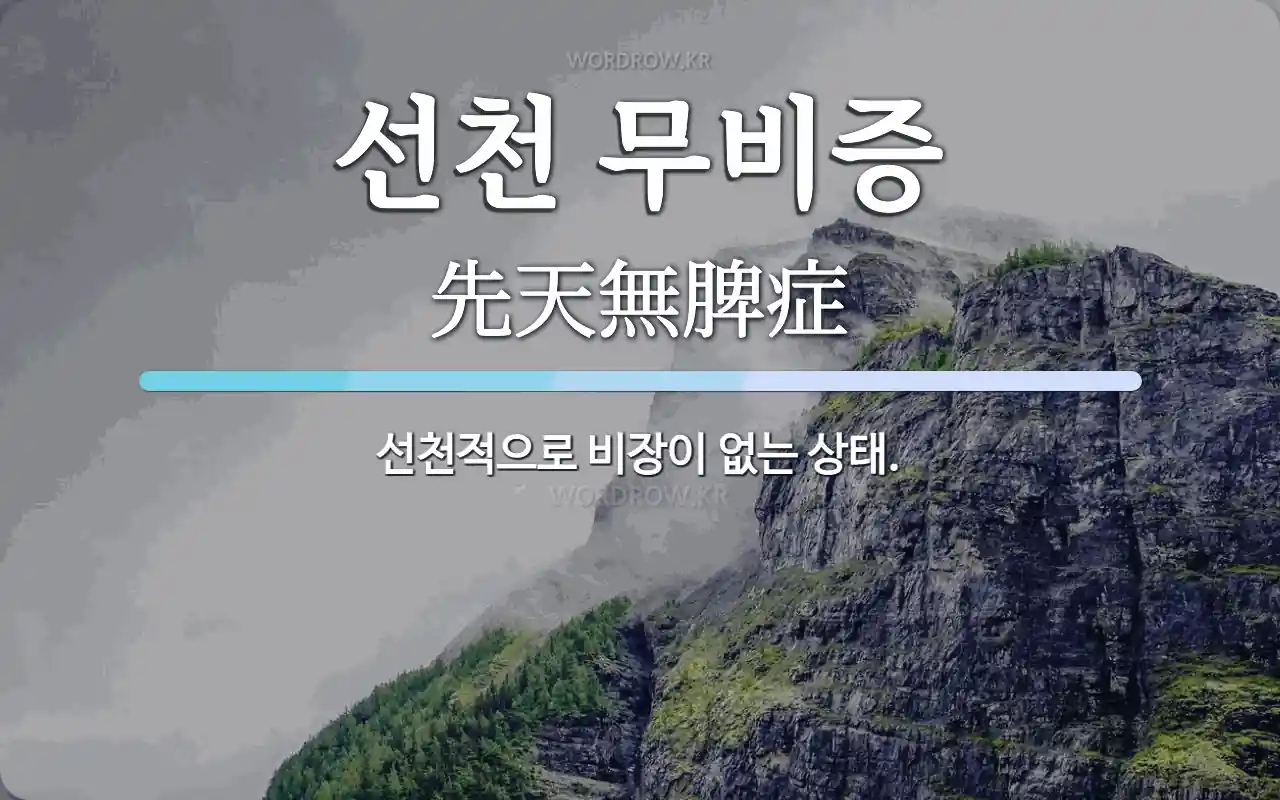 선천 무비증 뜻 선천적으로 비장이 없는 상태