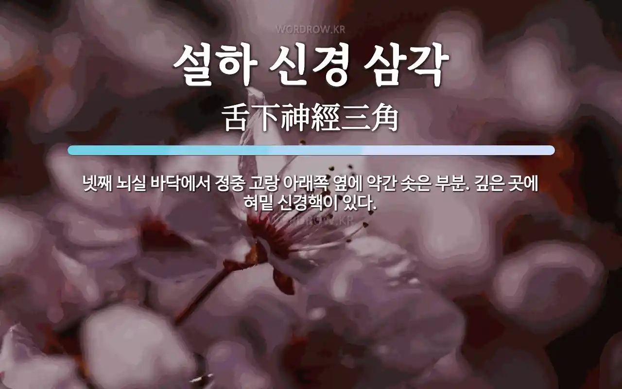 설하 신경 삼각 뜻 넷째 뇌실 바닥에서 정중 고랑 아래쪽 옆에 약간 솟은 부분 깊은 곳에 혀밑 신경핵이 있다