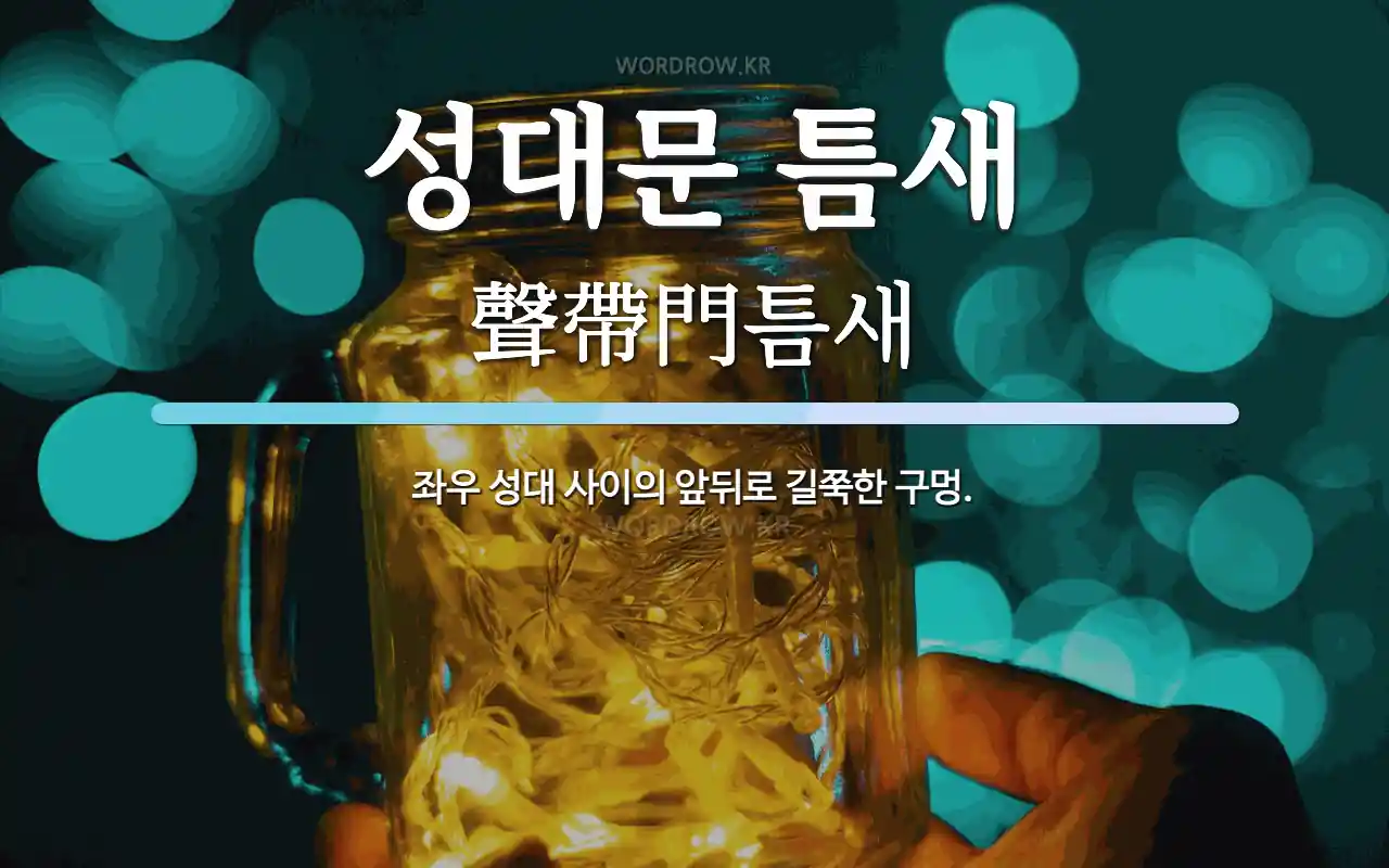 성대문 틈새 뜻 좌우 성대 사이의 앞뒤로 길쭉한 구멍