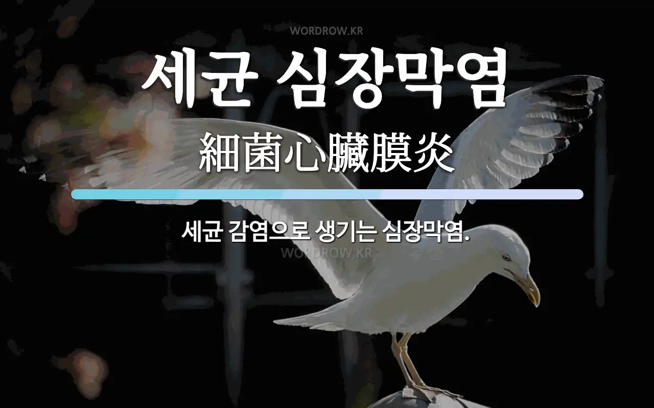 세균 심장막염 뜻 세균 감염으로 생기는 심장막염