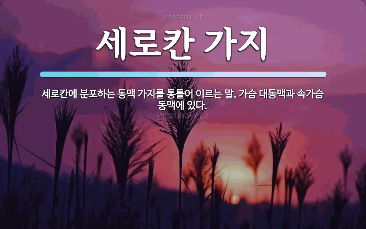 세로칸 가지 뜻 세로칸에 분포하는 동맥 가지를 통틀어 이르는 말 가슴 대동맥과 속가슴 동맥에 있다