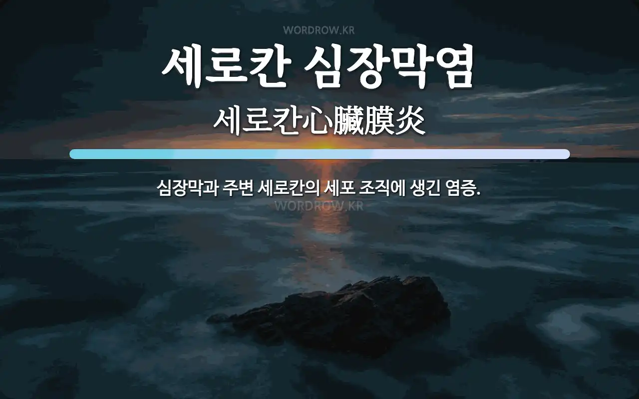 세로칸 심장막염 뜻 심장막과 주변 세로칸의 세포 조직에 생긴 염증