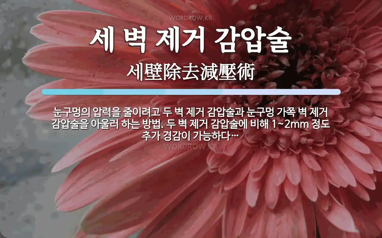 세 벽 제거 감압술 뜻 눈구멍의 압력을 줄이려고 두 벽 제거 감압술과 눈구멍 가쪽 벽 제거 감압술을 아울러 하는