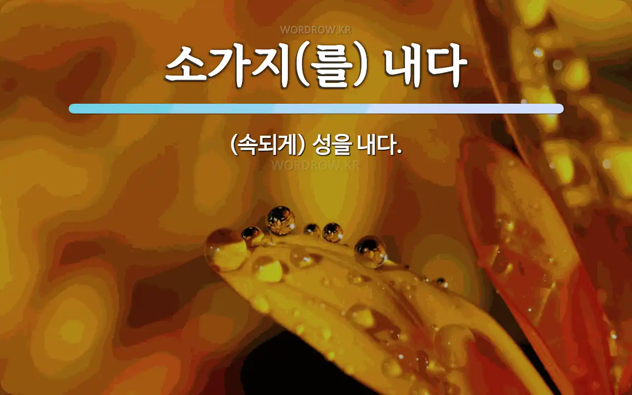 소가지를 내다 뜻 속되게 성을 내다