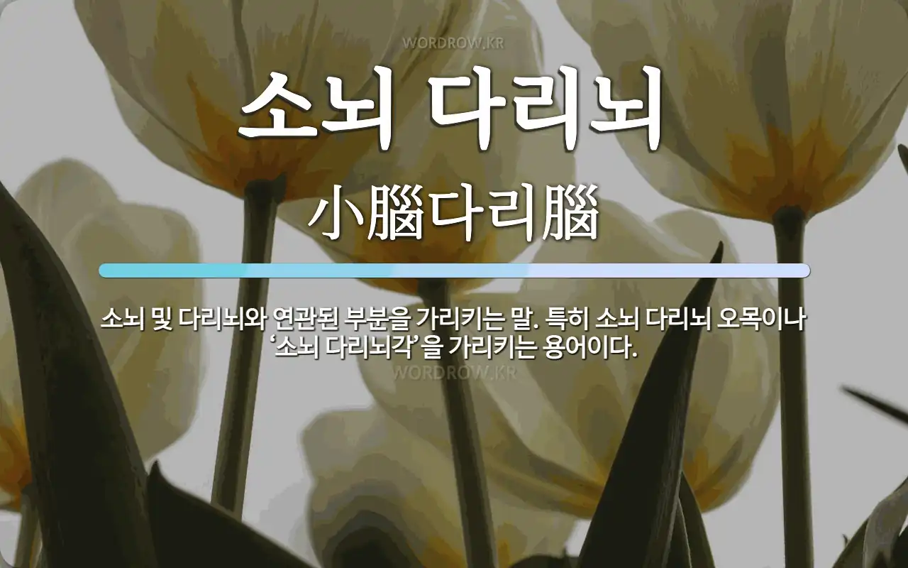 소뇌 다리뇌 뜻 소뇌 및 다리뇌와 연관된 부분을 가리키는 말 특히 소뇌 다리뇌 오목이나 ‘소뇌 다리뇌각