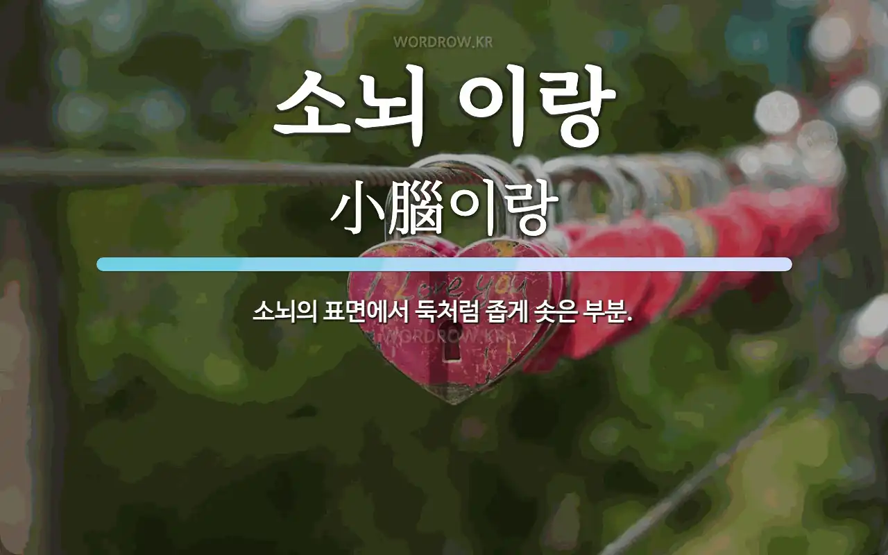 소뇌 이랑 뜻 소뇌의 표면에서 둑처럼 좁게 솟은 부분