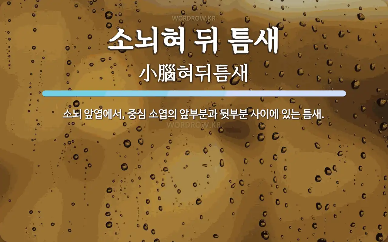 소뇌혀 뒤 틈새 뜻 소뇌 앞엽에서 중심 소엽의 앞부분과 뒷부분 사이에 있는 틈새