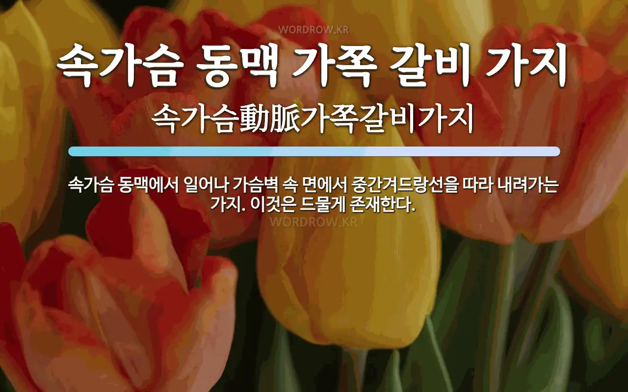 속가슴 동맥 가쪽 갈비 가지 뜻 속가슴 동맥에서 일어나 가슴벽 속 면에서 중간겨드랑선을 따라 내려가는 가지 이것은 드물게