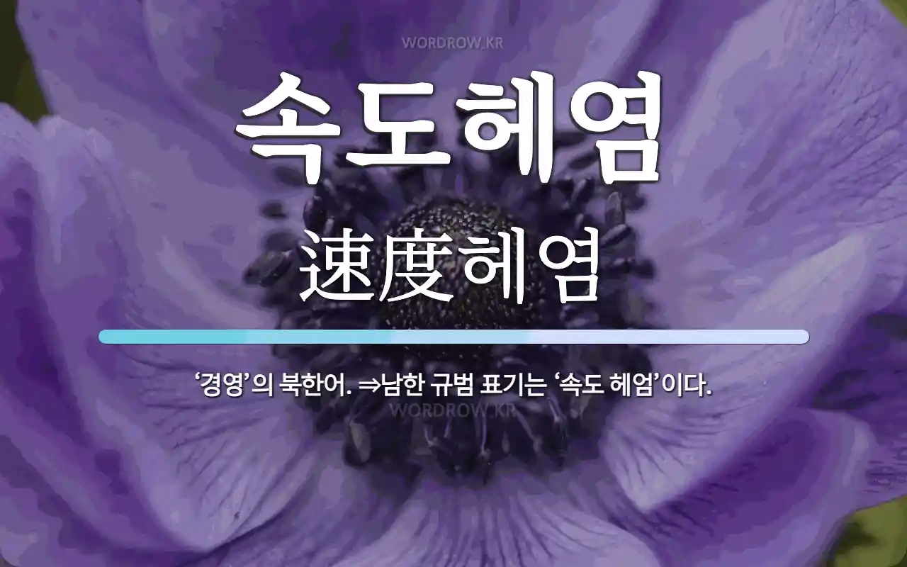 속도헤염 뜻 ‘경영의 북한어 ⇒남한 규범 표기는 ‘속도 헤엄이다