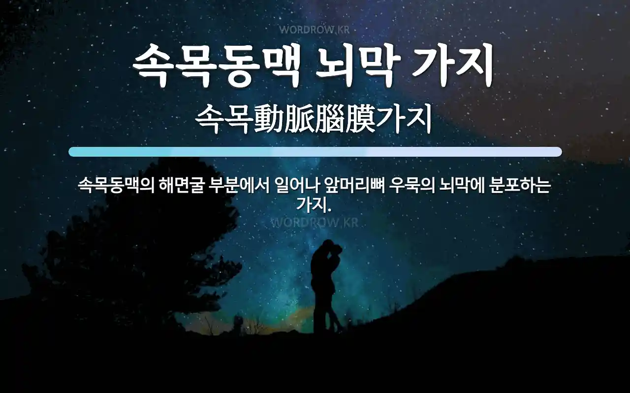속목동맥 뇌막 가지 뜻 속목동맥의 해면굴 부분에서 일어나 앞머리뼈 우묵의 뇌막에 분포하는 가지