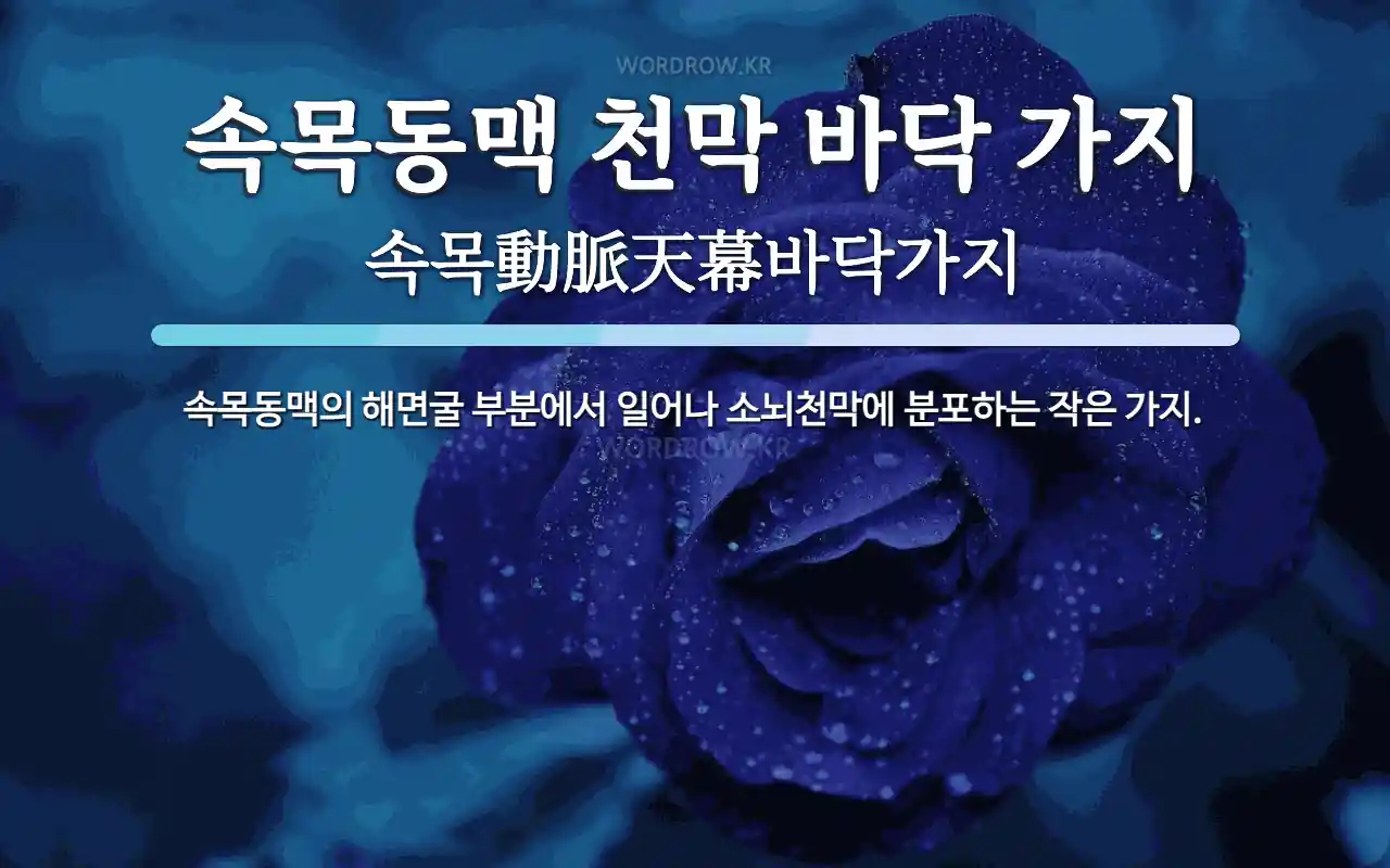 속목동맥 천막 바닥 가지 뜻 속목동맥의 해면굴 부분에서 일어나 소뇌천막에 분포하는 작은 가지