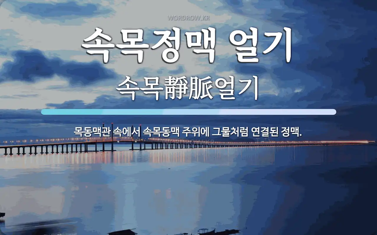 속목정맥 얼기 뜻 목동맥관 속에서 속목동맥 주위에 그물처럼 연결된 정맥