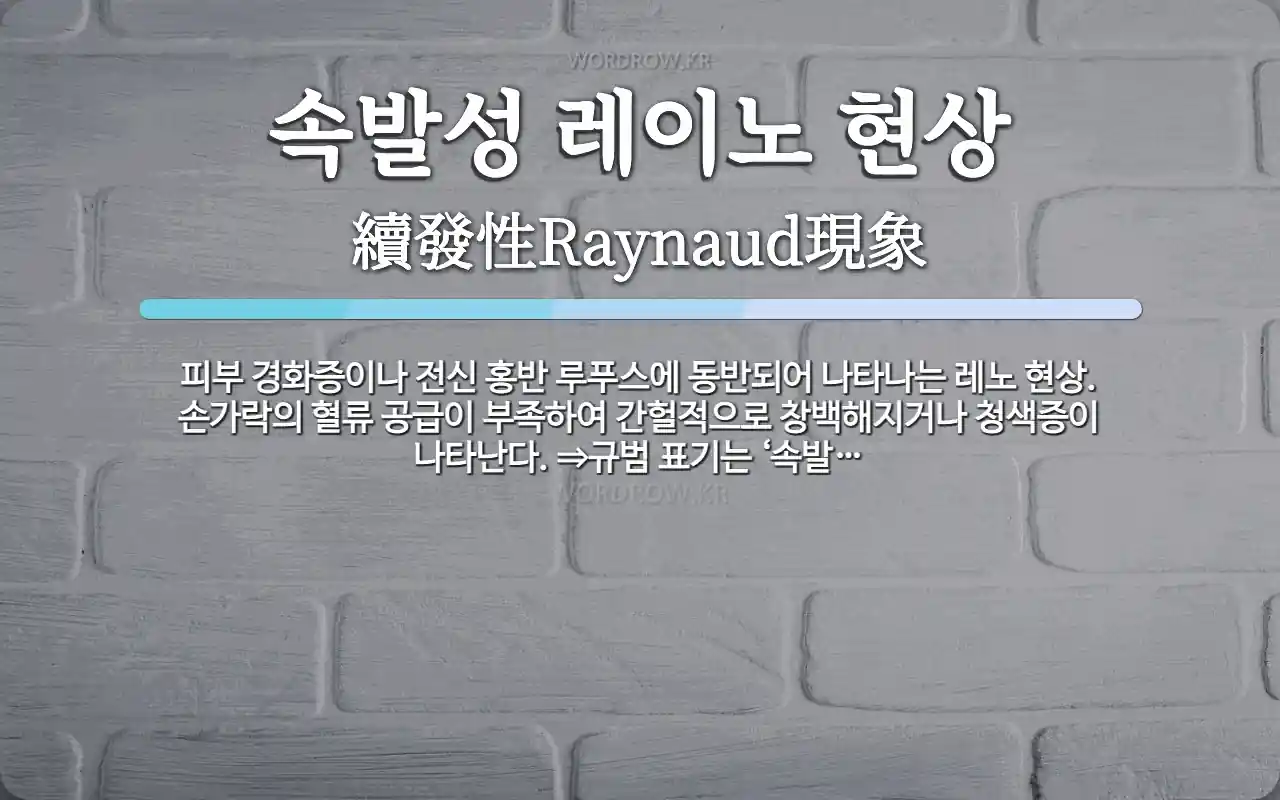 속발성 레이노 현상 뜻 피부 경화증이나 전신 홍반 루푸스에 동반되어 나타나는 레노 현상 손가락의 혈류 공급이 부
