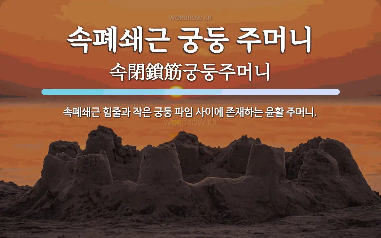 속폐쇄근 궁둥 주머니 뜻 속폐쇄근 힘줄과 작은 궁둥 파임 사이에 존재하는 윤활 주머니