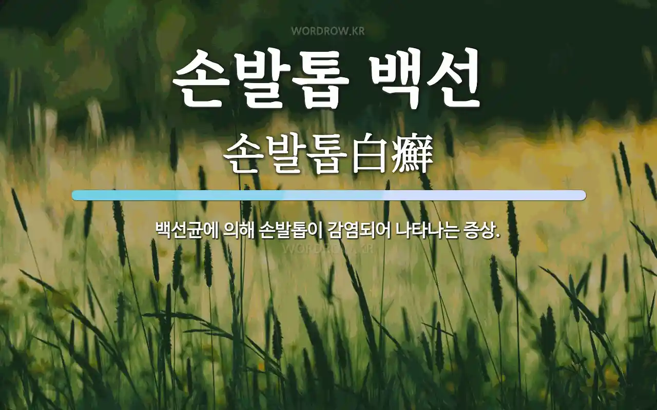 손발톱 백선 뜻 백선균에 의해 손발톱이 감염되어 나타나는 증상