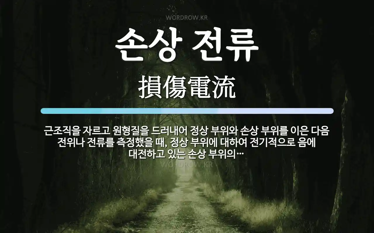 손상 전류 뜻 근조직을 자르고 원형질을 드러내어 정상 부위와 손상 부위를 이은 다음 전위나 전류를 측정했