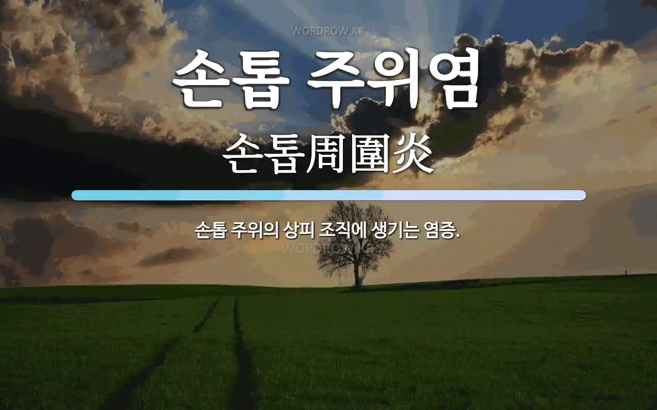 손톱 주위염 뜻 손톱 주위의 상피 조직에 생기는 염증