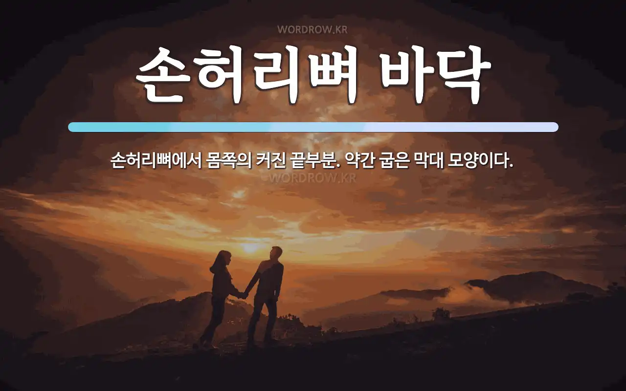 손허리뼈 바닥 뜻 손허리뼈에서 몸쪽의 커진 끝부분 약간 굽은 막대 모양이다