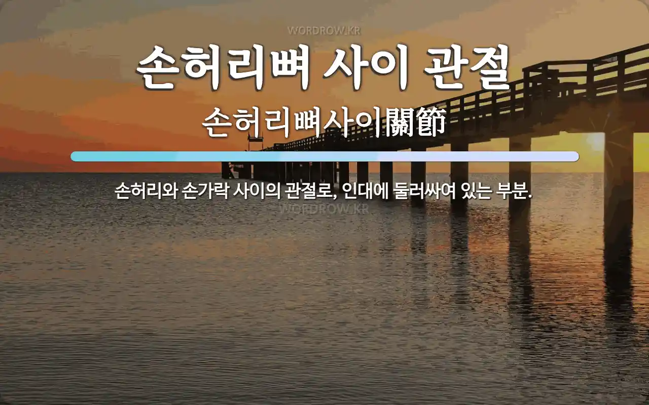 손허리뼈 사이 관절 뜻 손허리와 손가락 사이의 관절로 인대에 둘러싸여 있는 부분