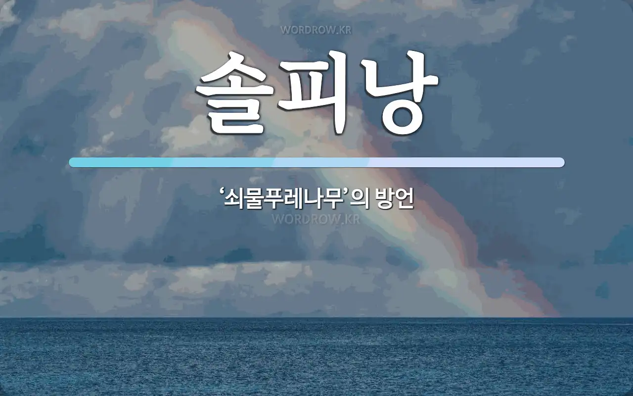 솔피낭 뜻 ‘쇠물푸레나무의 방언