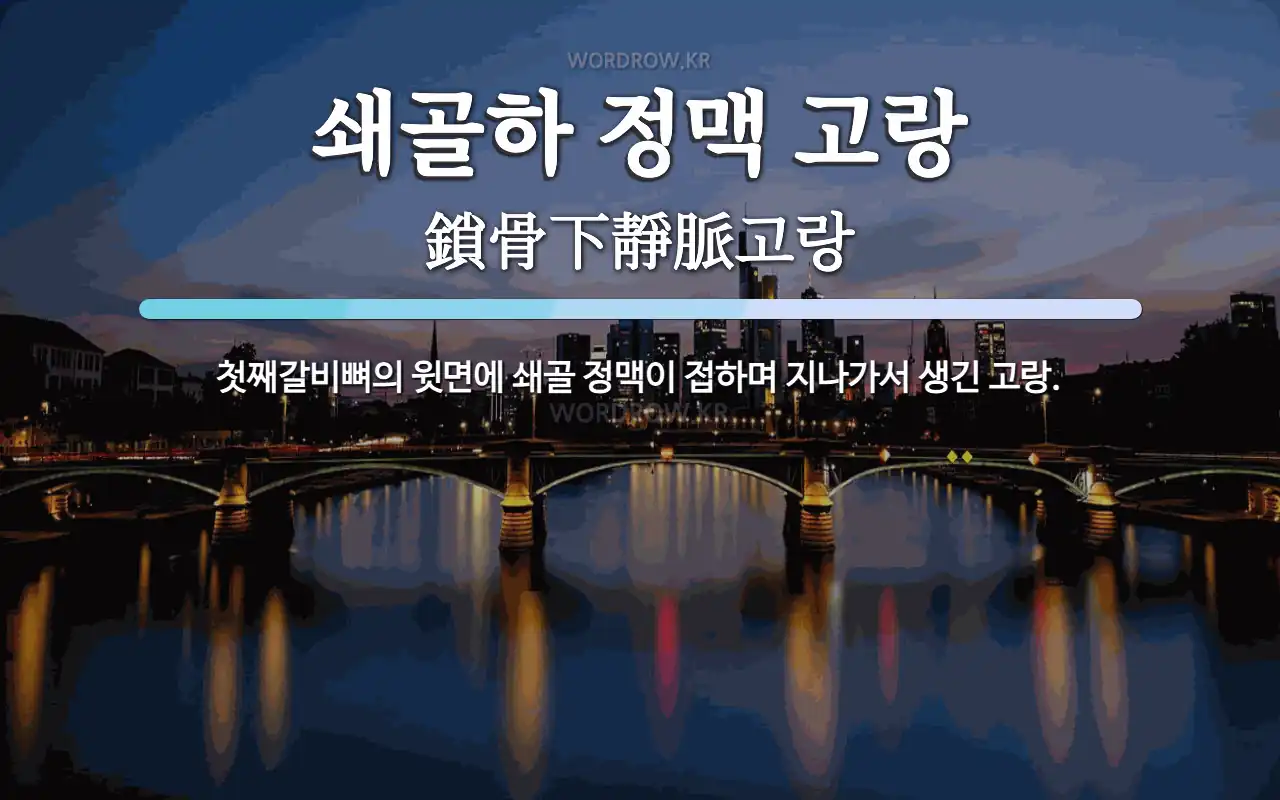쇄골하 정맥 고랑 뜻 첫째갈비뼈의 윗면에 쇄골 정맥이 접하며 지나가서 생긴 고랑