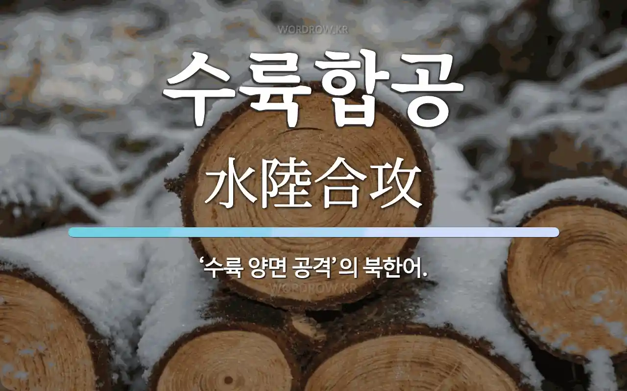 수륙합공 뜻 ‘수륙 양면 공격의 북한어
