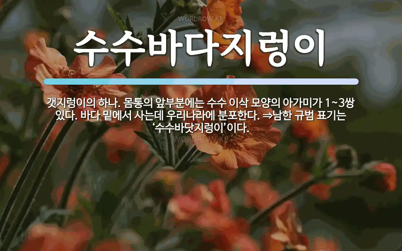 수수바다지렁이 뜻 갯지렁이의 하나 몸통의 앞부분에는 수수 이삭 모양의 아가미가 1~3쌍 있다 바다 밑에서