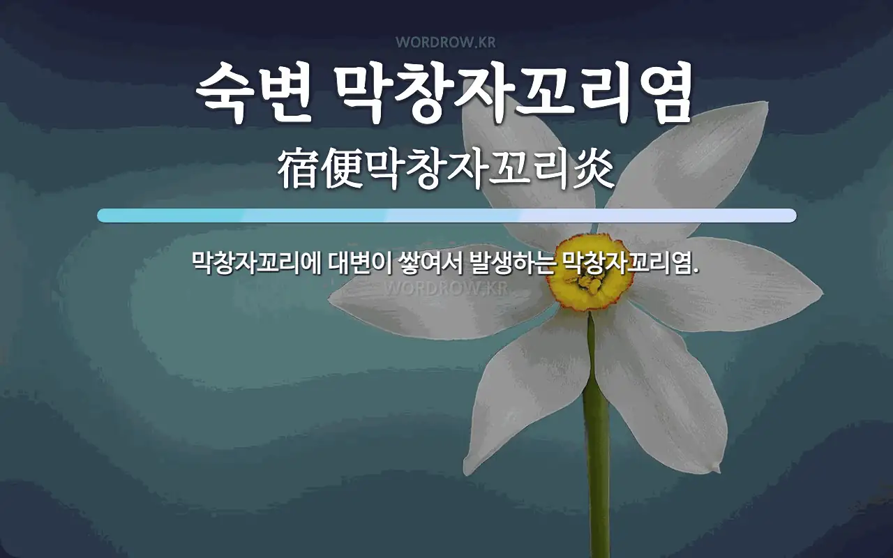 숙변 막창자꼬리염 뜻 막창자꼬리에 대변이 쌓여서 발생하는 막창자꼬리염