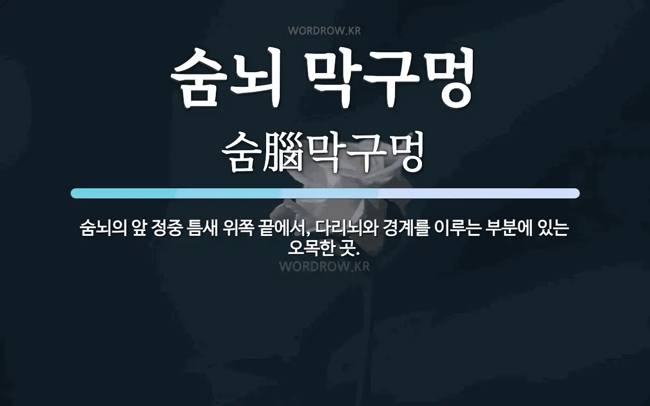 숨뇌 막구멍 뜻 숨뇌의 앞 정중 틈새 위쪽 끝에서 다리뇌와 경계를 이루는 부분에 있는 오목한 곳