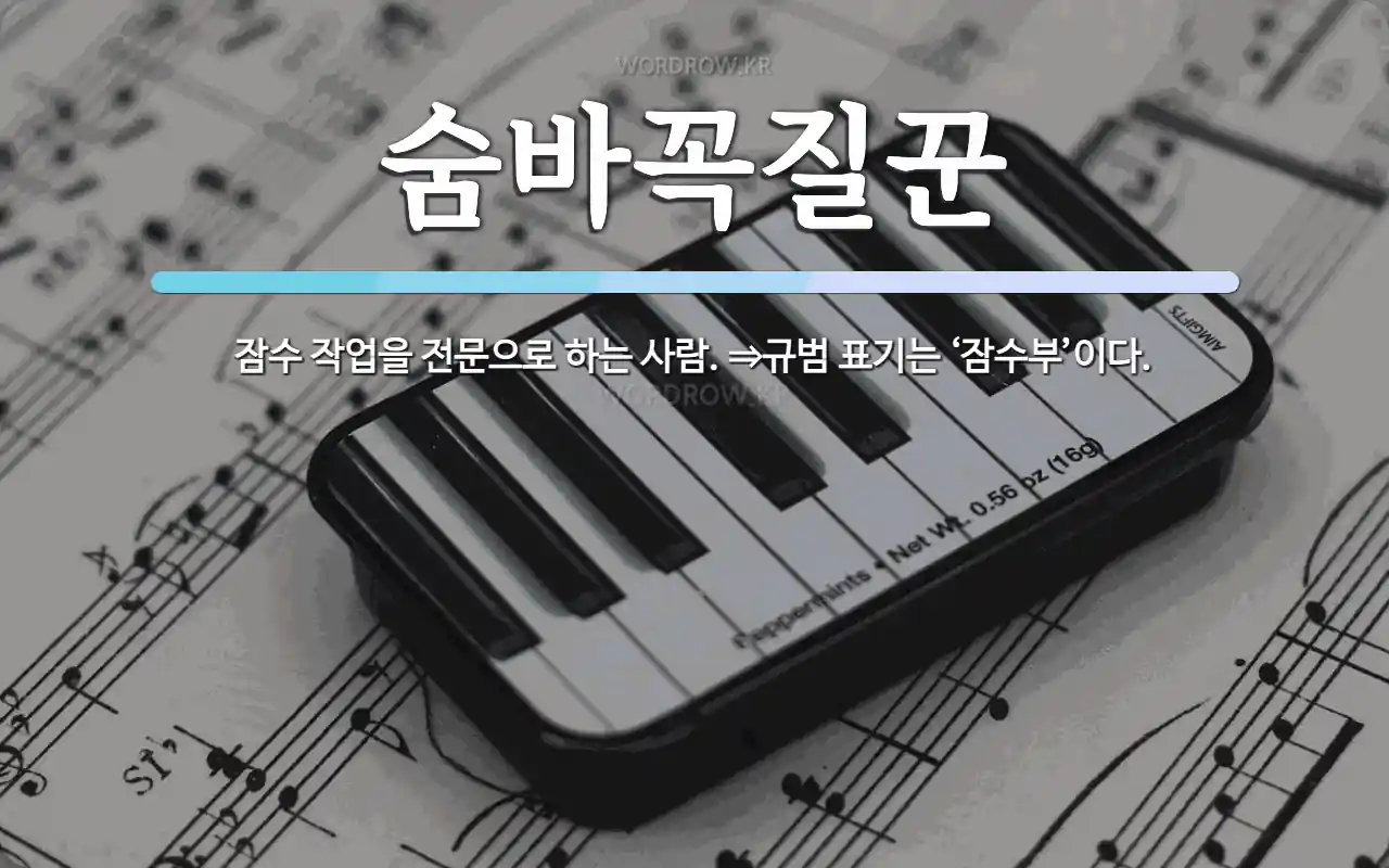 숨바꼭질꾼 뜻 잠수 작업을 전문으로 하는 사람 ⇒규범 표기는 ‘잠수부이다