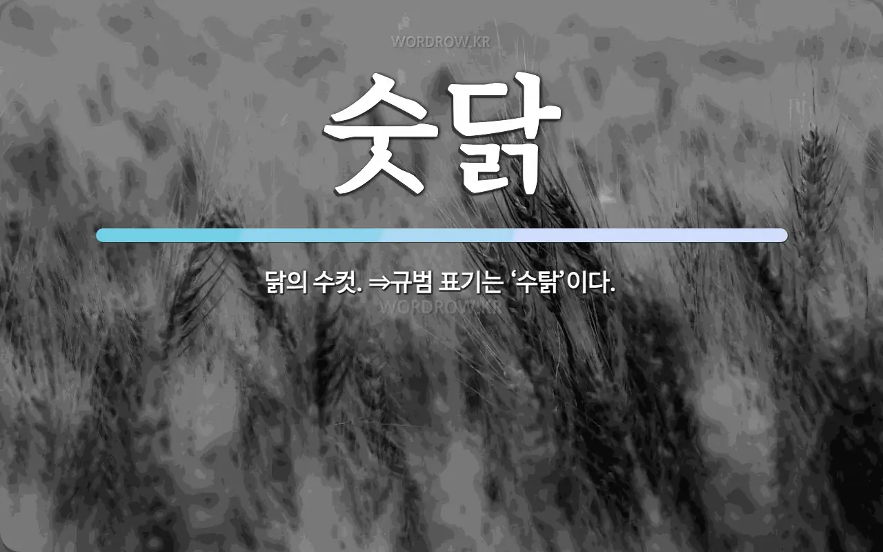 숫닭 뜻 닭의 수컷 ⇒규범 표기는 ‘수탉이다