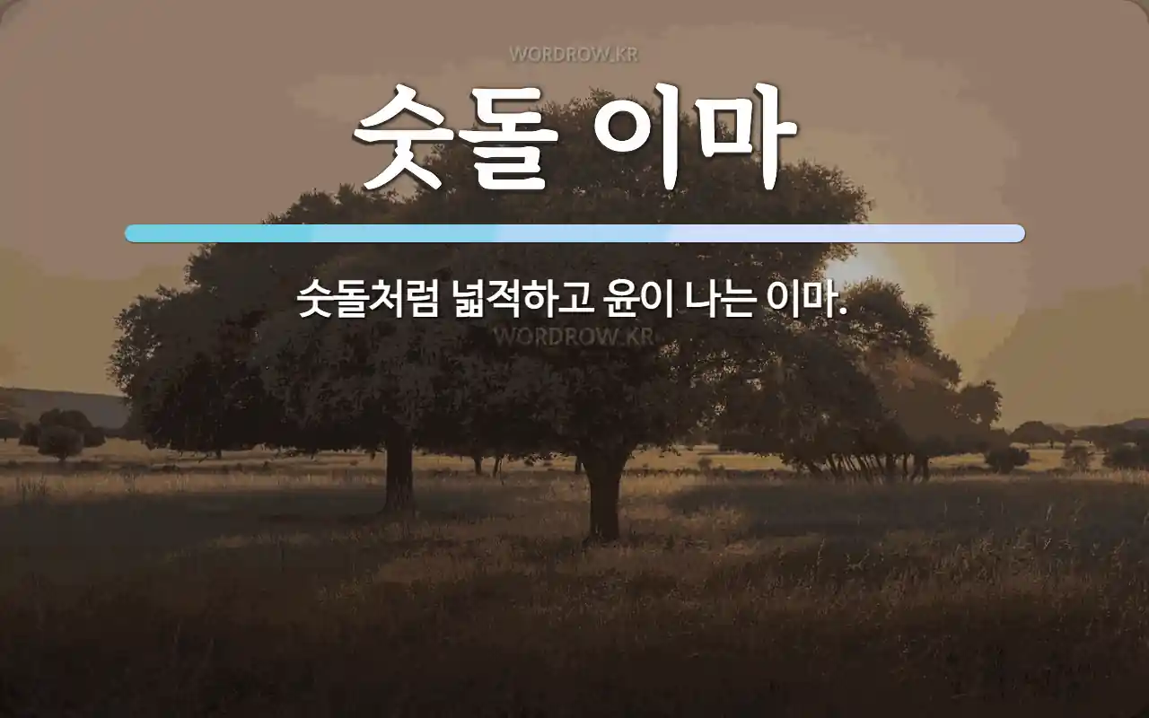숫돌 이마 뜻 숫돌처럼 넓적하고 윤이 나는 이마